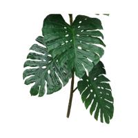 China Real Touch Good Looking 230cm Artificial Tree Branches With 7pcs Leaves for sale