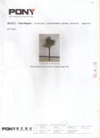 China Environmental Protection Certification Large Faux Palm Plant HAIHONG for sale