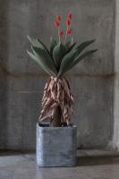 China 5inch Grey Square Plant Pots , Grey Square Plant Pots Indoor Outdoor for sale