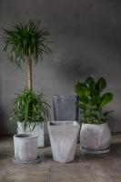 China Classic Polygon Planter for sale