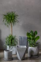 China Classic Polygon Planter for sale