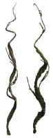 China Fire Resistant 135cm Fake Ivy Wall Decor Artificial Plant Accessories for sale
