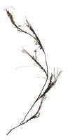 China HAIHONG 120cm Artificial Weeping Willow Artificial Plant Accessories for sale