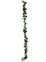 China Easy To Care Lifelike 200cm Artificial Vine Plant Plastics for sale