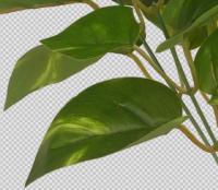 China Lifelike 7pcs 36cm Height Artificial Green Bush With 36 Leaves for sale