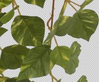 China All Season 5pcs 80cm Height Artificial Vine Plant With 88pcs Leaves for sale