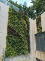 China PE Leaf Anti Aging Vertical Greening Decorative For Landscaping for sale