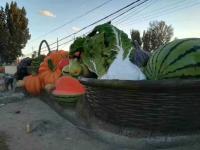 China Cute Fruits And Vegetables Topiary Sculpture , Outdoor Garden Sculpture Colorful for sale