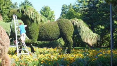 China HAIHONG Beautiful Plants And Flowers Topiary Sculpture Fashionable for sale