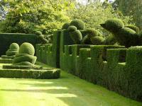 China HAIHONG Beautiful Plants And Flowers Topiary Sculpture Fashionable for sale