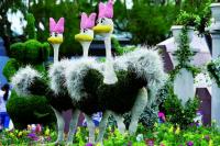 China HAIHONG Beautiful Plants And Flowers Topiary Sculpture Fashionable for sale