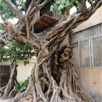 China HAIHONG GRC Landscape Construction With Excellent Texture for sale