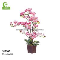 China Anti Fading 65cm Artificial Moth Orchid In Various Colors for sale