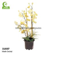 China Anti Fading 65cm Artificial Moth Orchid In Various Colors for sale