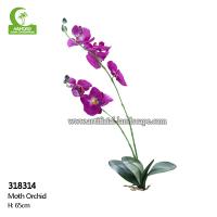 China Anti Fading 65cm Artificial Moth Orchid In Various Colors for sale