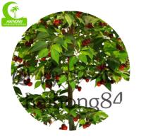 China Simulated 160cm Cherry Artificial Landscape Trees Wind Resistance for sale