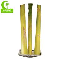 China Customized Banana Artificial Landscape Trees For Relax for sale