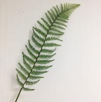 China Plastic Artificial Potted Floor Plants Boston Fern Leaves For Decor for sale
