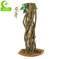 China UV Resistant Artificial Potted Floor Plants Ornamental Lifelike Wisteria Flowering Purple Tree for sale