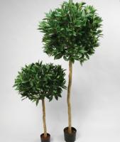China Height 160cm Artificial Potted Floor Plants Plastic Laurel Tree for sale