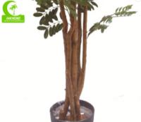 China Garden Landscape Artificial Potted Floor Plants Cassia Flowering Tree for sale