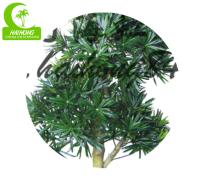 China Bonsai 130cm Podocarpus Artificial Landscape Trees For Indoor Decoration for sale