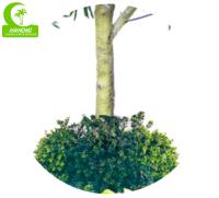 China Bonsai 130cm Podocarpus Artificial Landscape Trees For Indoor Decoration for sale