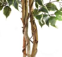 China 175cm Natural Trunk Artificial Variegated Ficus Tree for sale