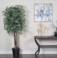 China 175cm Natural Trunk Artificial Variegated Ficus Tree for sale