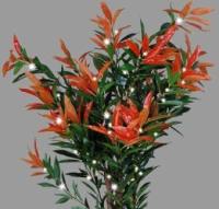 China Height 200cm Plastic Photinia Artificial Landscape Trees For Office Decoration for sale