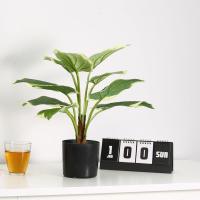 China Casual Decor Fake Potted Floor Plants Taro Fabric Plastic Material for sale