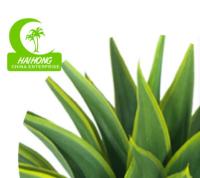 China Anti UV Artificial Succulent Plant Landscaping Tropical Fiber Agave for sale