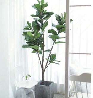 China ODM 200cm Height Artificial Potted Floor Plants Fiddle Ficus for sale