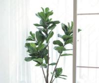 China ODM 200cm Height Artificial Potted Floor Plants Fiddle Ficus for sale