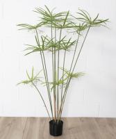 China Height 155cm Artificial Potted Floor Plants Cyperus Eco Friendly for sale
