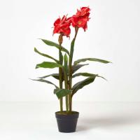 China OEM Plastic Green Leaves 160cm Artificial Canna Lily for sale