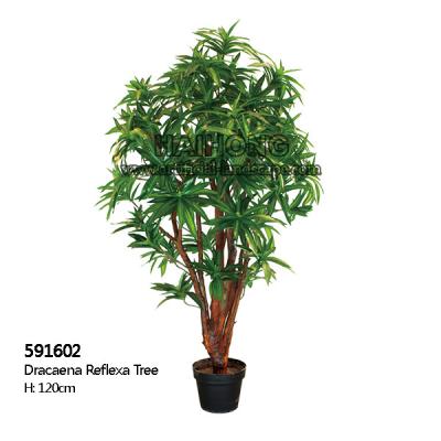 China High Simulation Artificial Tropical Plant Dracaena Reflexa Tree 120cm Height for sale