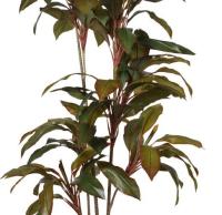 China Bonsai Stunning Cordyline Artificial Potted Floor Plants 190cm Height for sale