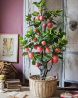 China Red Party Park Decoration Artificial Apple Tree 190cm Height for sale