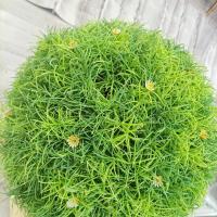 China Home Office Decorative 55cm Artificial Potted Floor Plants Boxwood Ball for sale