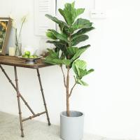 China Natural 120cm Height Pandurata Artificial Ficus Tree Landing Plant for sale