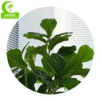 China Natural 120cm Height Pandurata Artificial Ficus Tree Landing Plant for sale