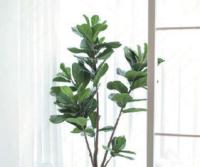 China Natural 120cm Height Pandurata Artificial Ficus Tree Landing Plant for sale
