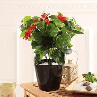 China 40cm Landing Artificial Potted Plant Garden Ornament Evergreen Bleeding Heart Bush for sale