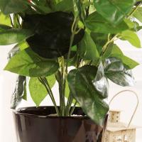 China 40cm Landing Artificial Potted Plant Garden Ornament Evergreen Bleeding Heart Bush for sale