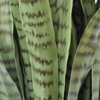 China Height 100cm Artificial Potted Floor Plants Agave For Hotel Decor for sale