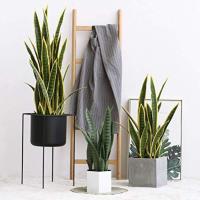 China Height 100cm Artificial Potted Floor Plants Agave For Hotel Decor for sale