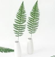China Height 80cm Artificial Potted Floor Plants For Home Office Table Decoration Nordic Fern for sale