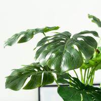 China Nordic Bonsai Evergreen Monstera Artificial Potted Plant Ornament for sale