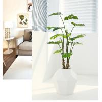 China Nordic Bonsai Evergreen Monstera Artificial Potted Plant Ornament for sale